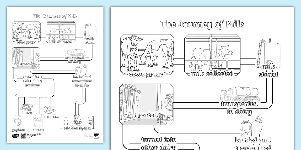The Journey of Milk Colouring Sheet - Twinkl KS1 - Twinkl