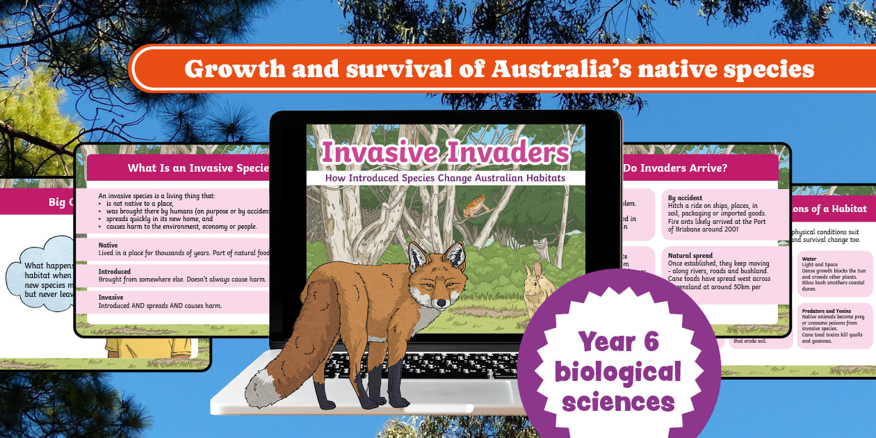 Year 6 Biological Science: Invasive Invaders