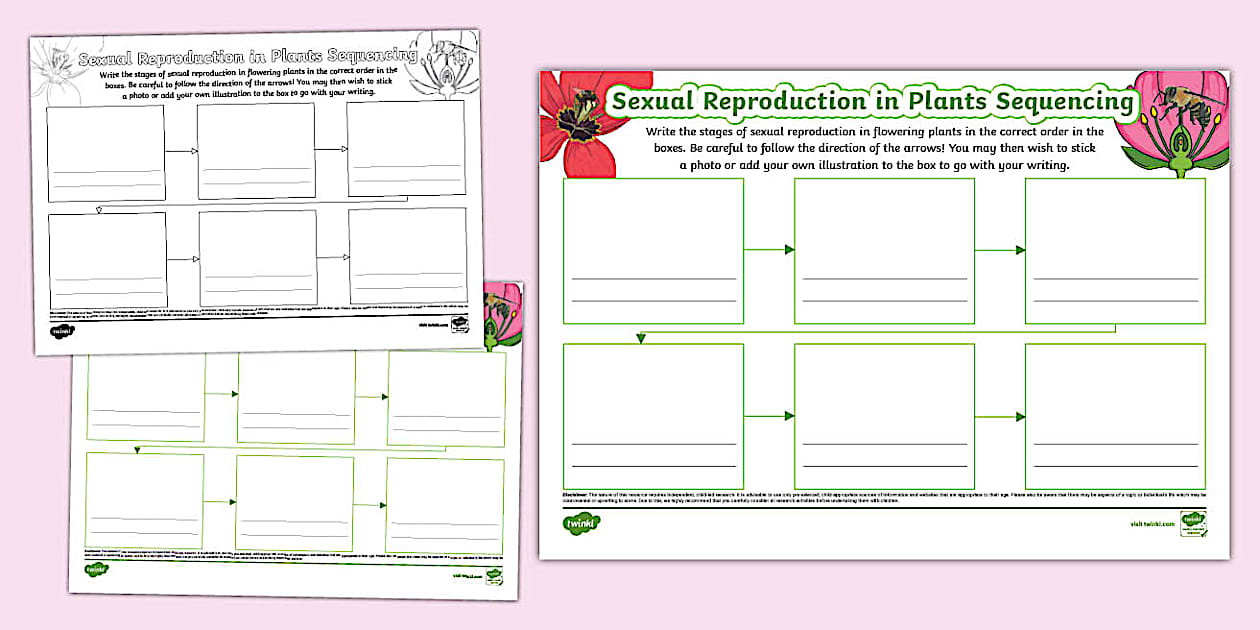 Sexual Reproduction in Flowering Plants Sequencing Mind Map