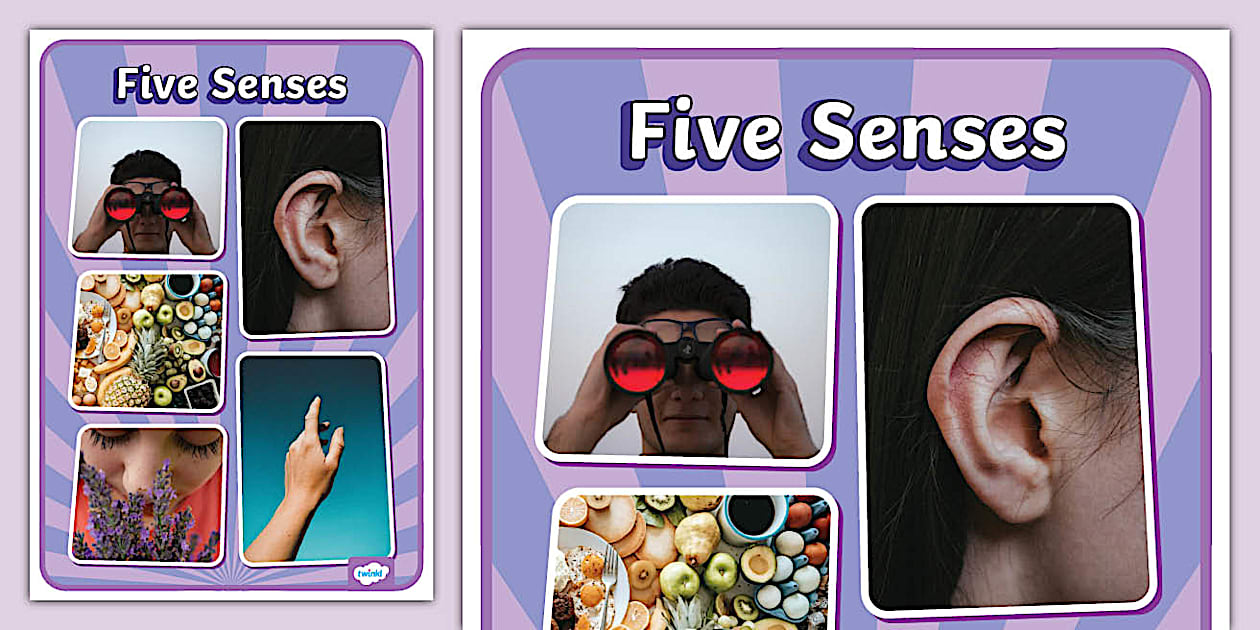 Five Senses Photo Display Poster (teacher made) - Twinkl
