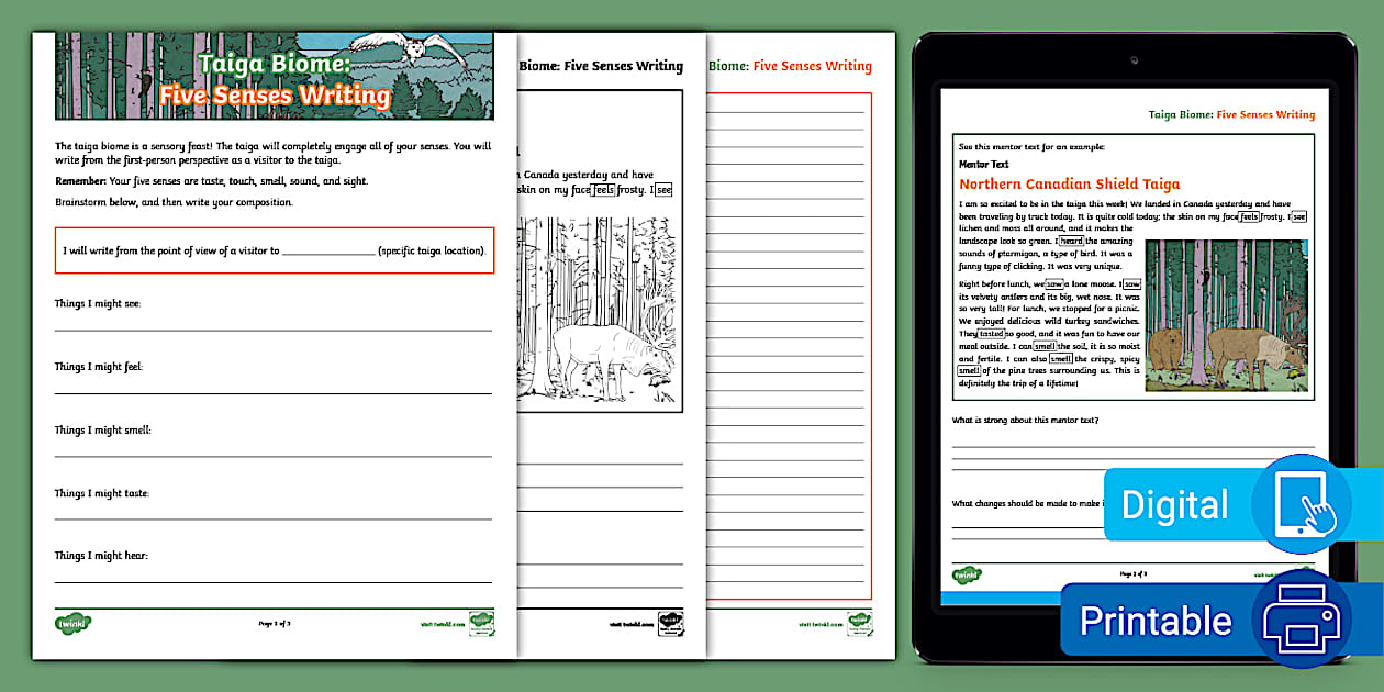 Taiga Biome Five Senses Writing Worksheet for 3rd-5th Grade