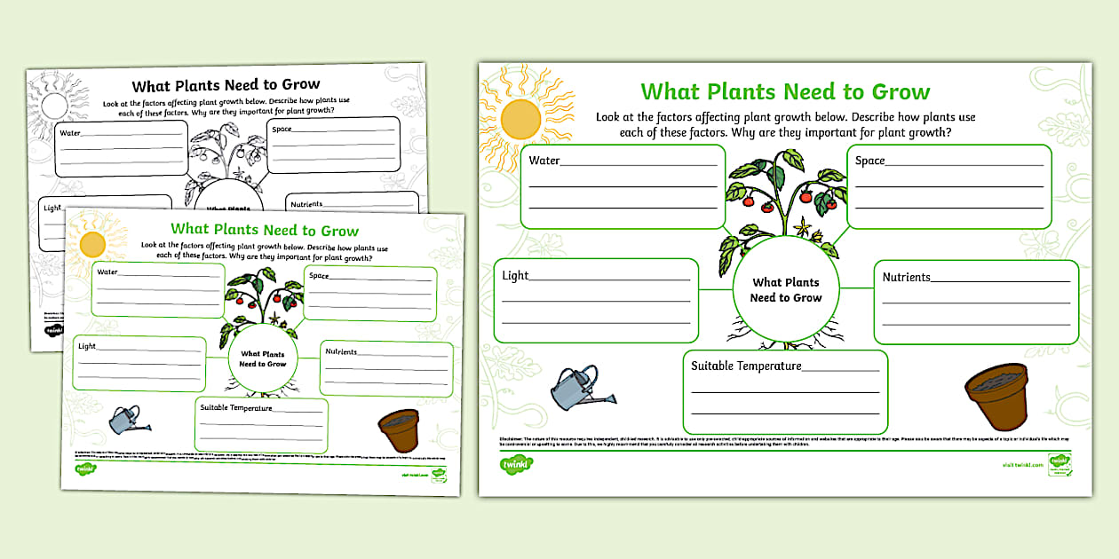 What Do Plants Need to Grow? Mind Map - Twinkl
