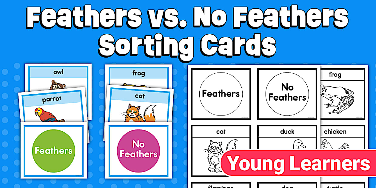 Animals With Feathers vs. No Feathers Sorting Cards