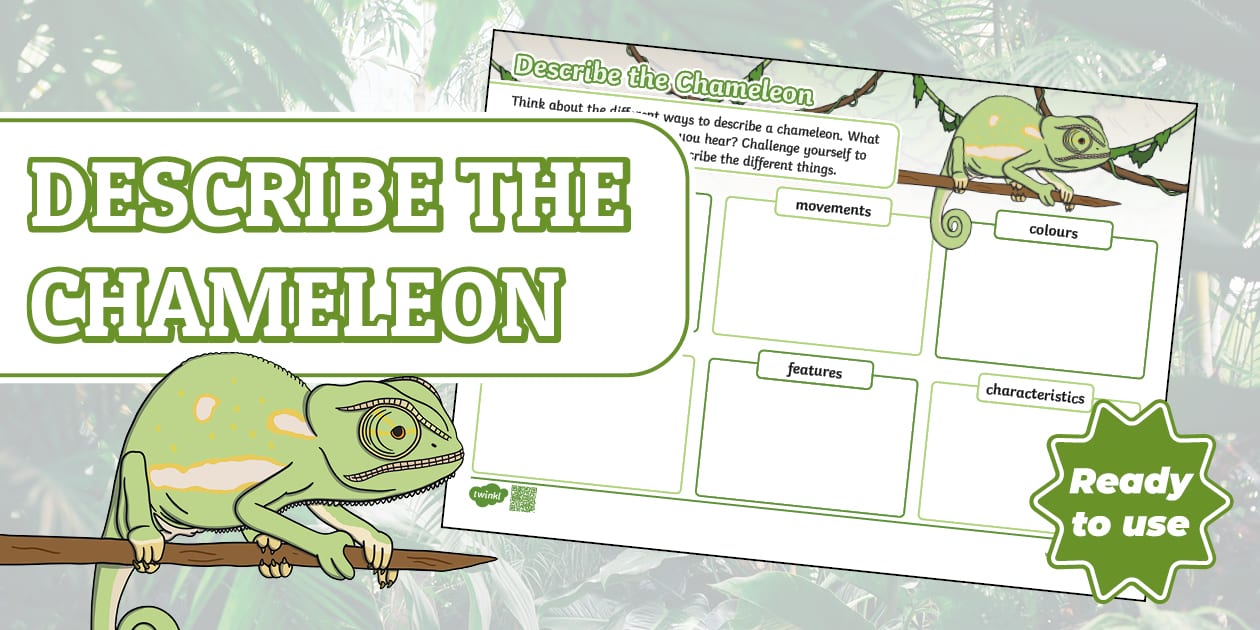 Foundation Phase Home Language - Chameleon Adjectives - Worksheet (CAPS