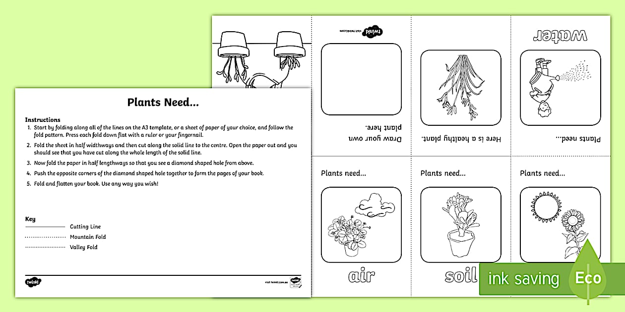 Plant Needs Booklet (teacher made) - Twinkl