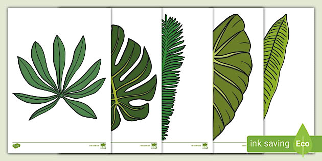 KS1 Jungle Leaf Template Cut-Outs - Twinkl