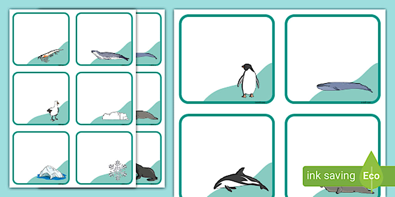 The Antarctic Animals Peg Name Labels - (teacher made)