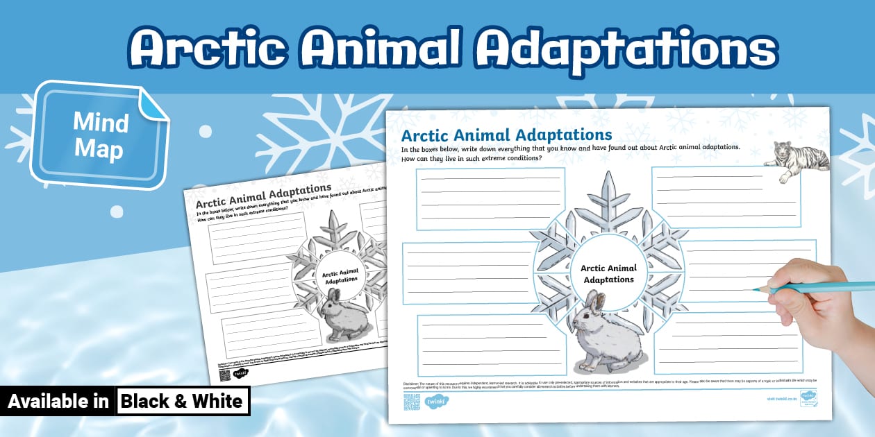 * NEW * Arctic Animals Adaptations Mind Map - Twinkl