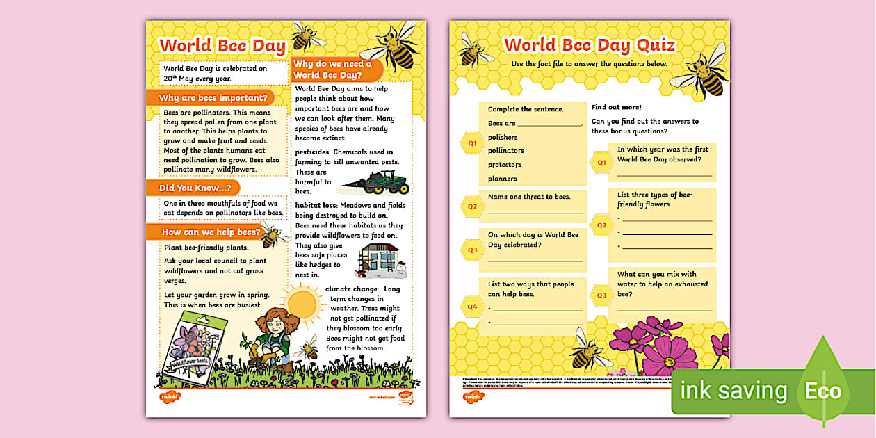 World Bee Day KS1 Fact File and Quiz (teacher made) - Twinkl
