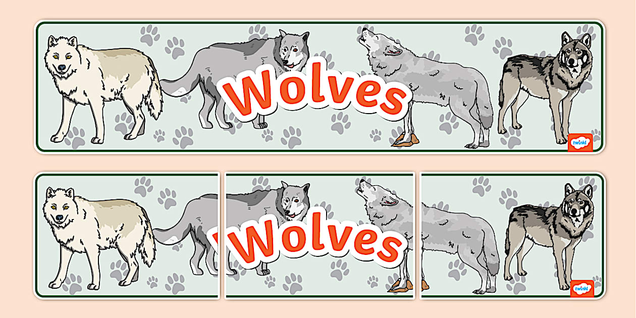 Wolves Classroom Display Banner (Teacher-Made) - Twinkl