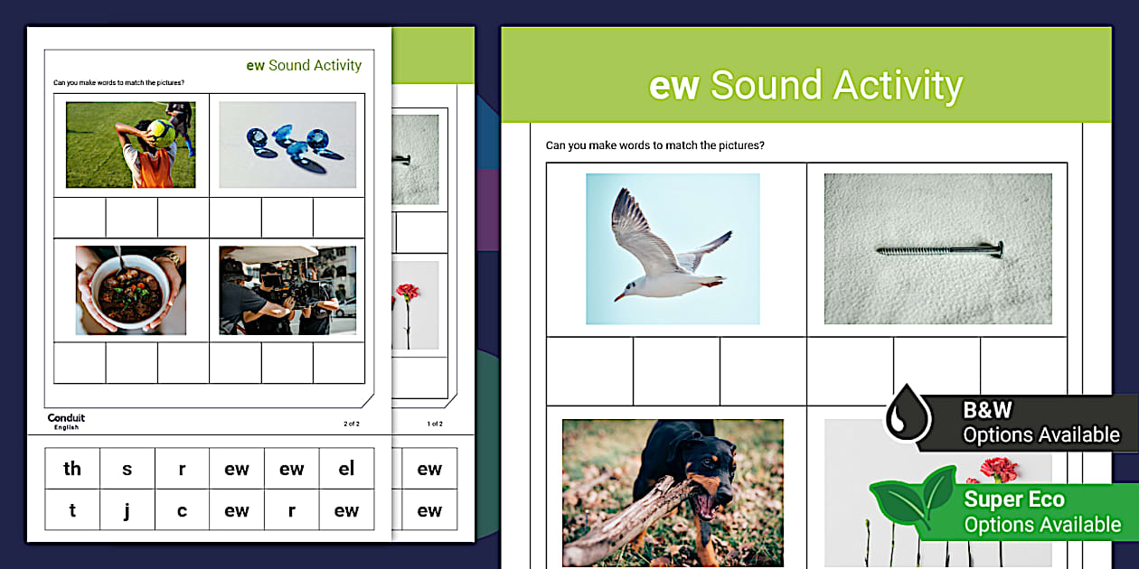 Reinforcing Sounds: 'ew' Cut and Stick Activity - Twinkl