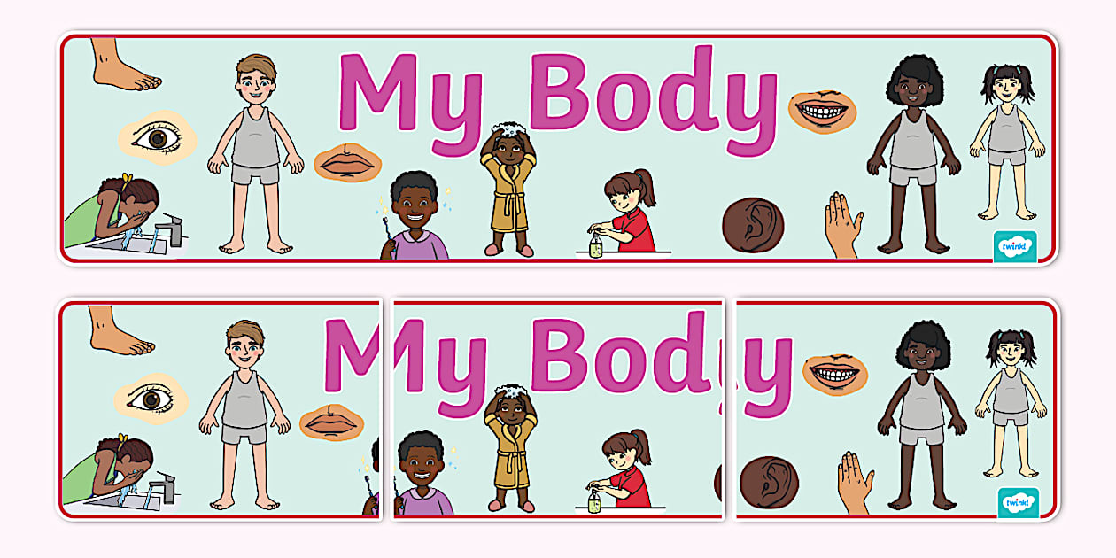 Let's Learn About My Body Display Banner (teacher made)
