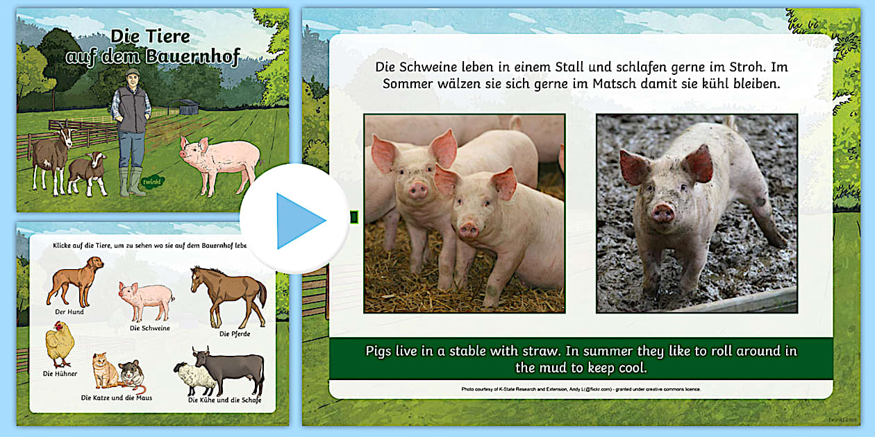 Where Farm Animals Live PowerPoint German