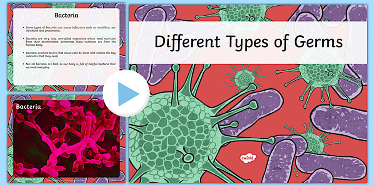 Types of Germ PowerPoint (Teacher-Made) - Twinkl