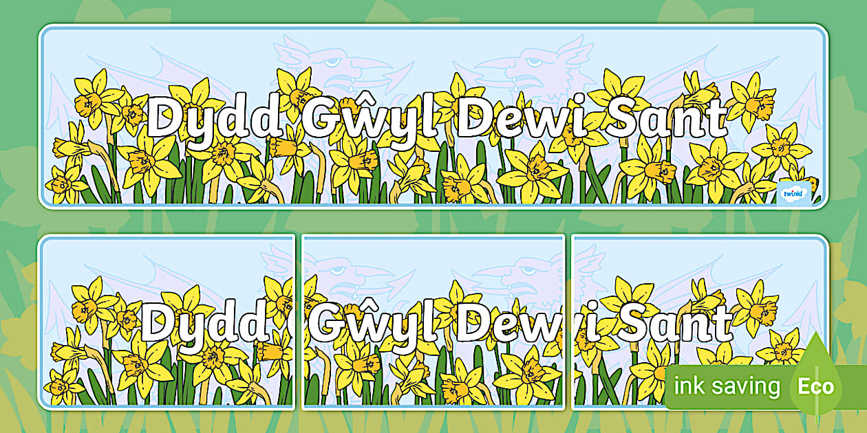 St David’s Day Daffodils Display Banner - Twinkl Cymru