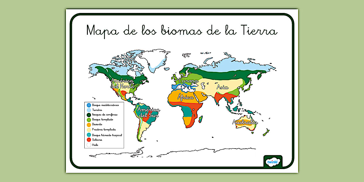 Póster: Mapa de los biomas de la Tierra (teacher made)