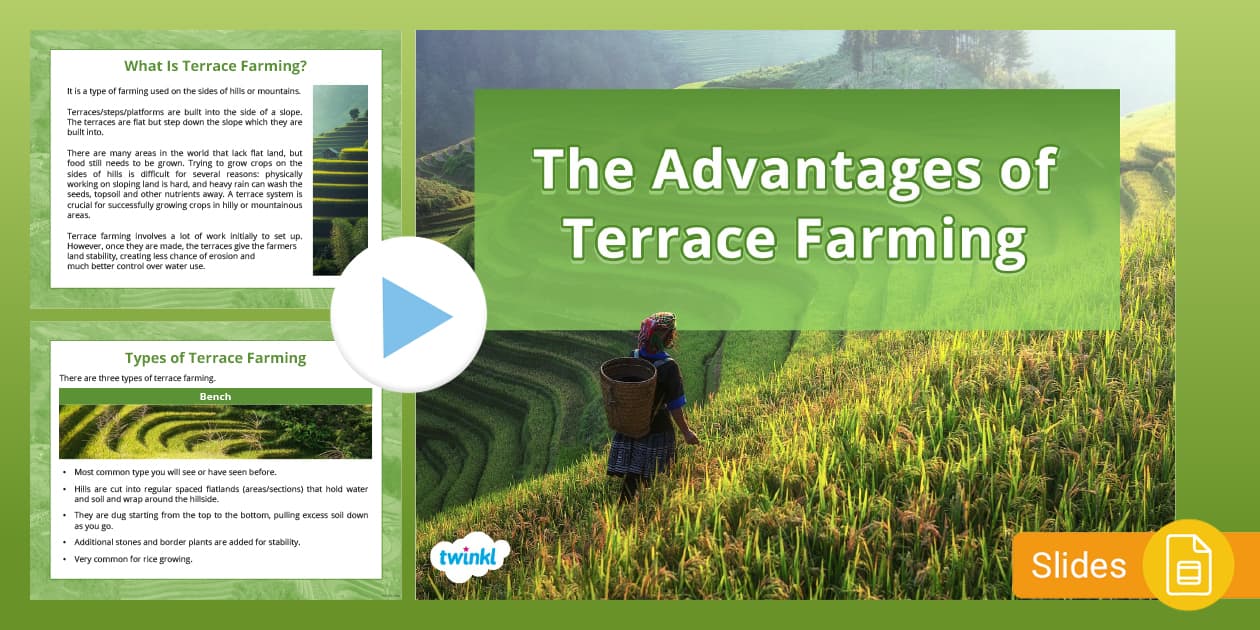 The Advantages of Terrace Farming PowerPoint - Twinkl
