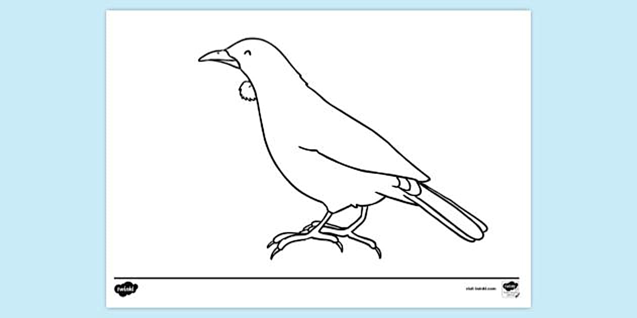 Bird Colouring Page | Colouring Sheets (teacher made)