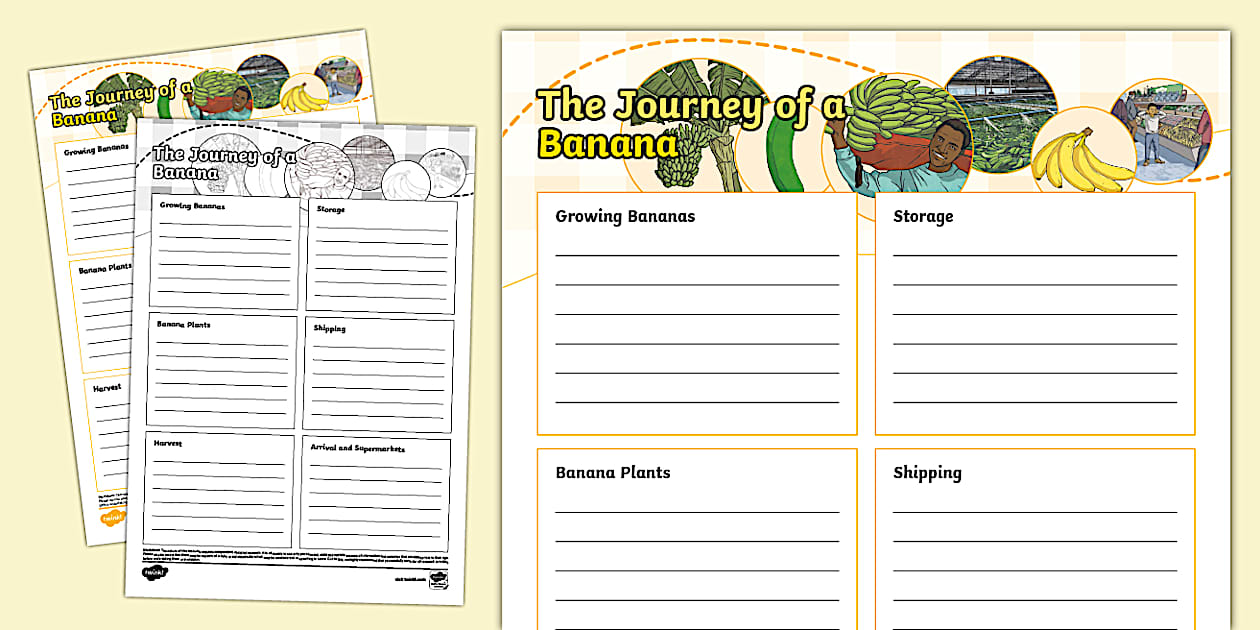 The Journey of a Banana Fact File Template (teacher made)