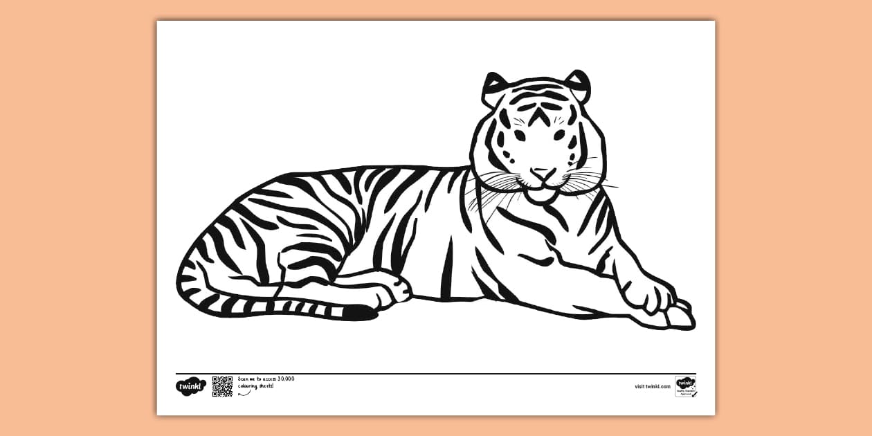 Tiger Template for Colouring (teacher made) - Twinkl
