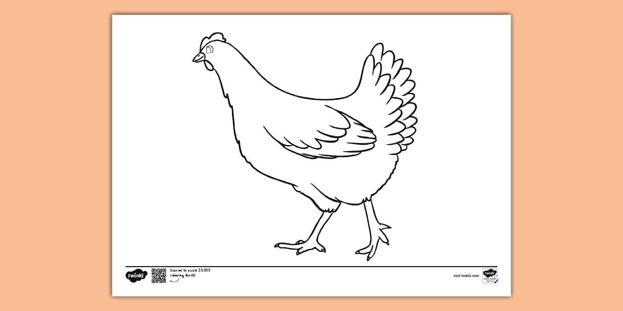 Chicken Colouring Page | Colouring Sheets (teacher made)