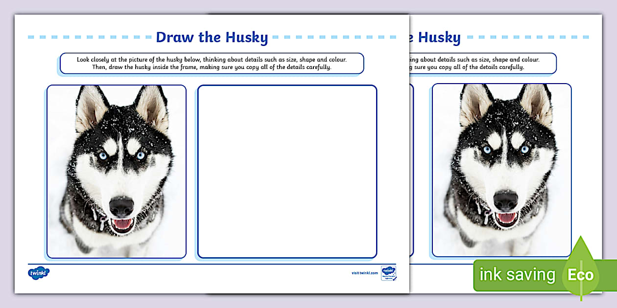 Draw the Husky Worksheet (teacher made) - Twinkl