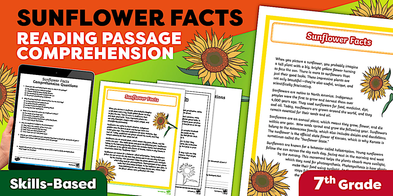 Seventh Grade Sunflower Facts Reading Comprehension Workshee