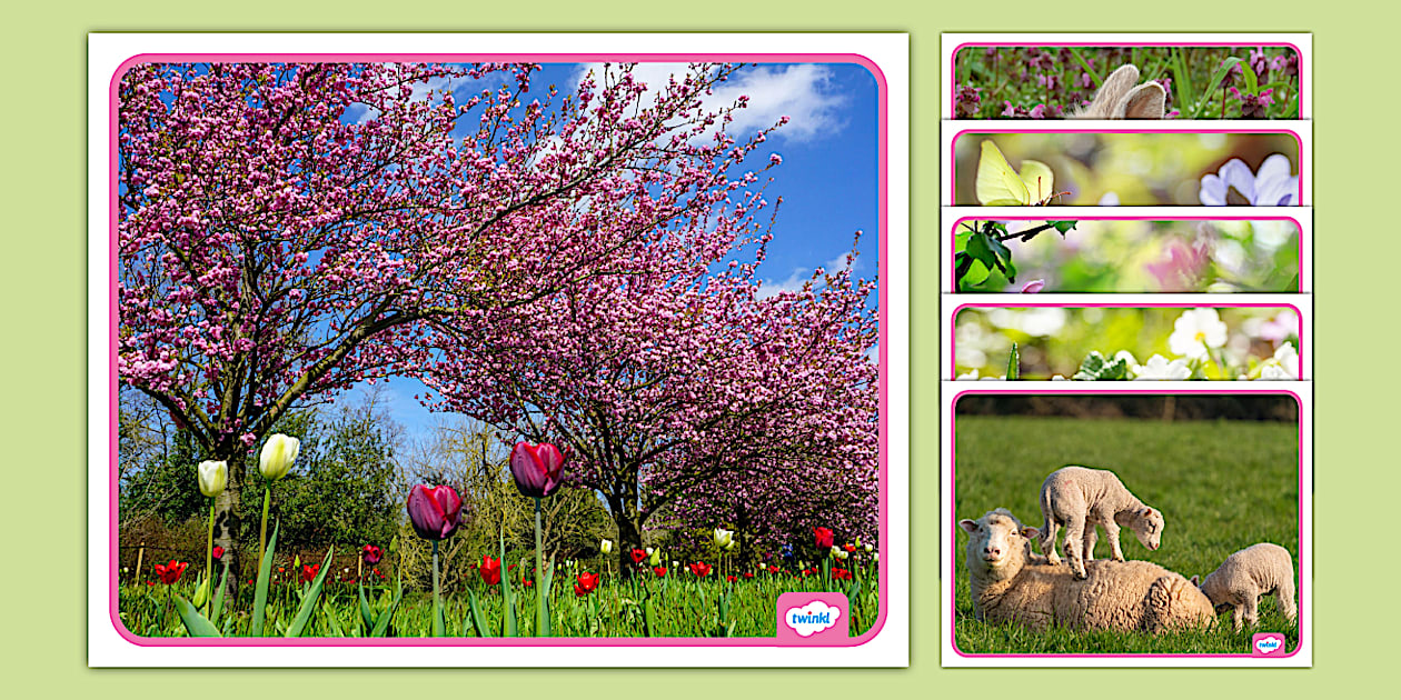 Photos of Spring Posters | Teaching Resource | Twinkl USA