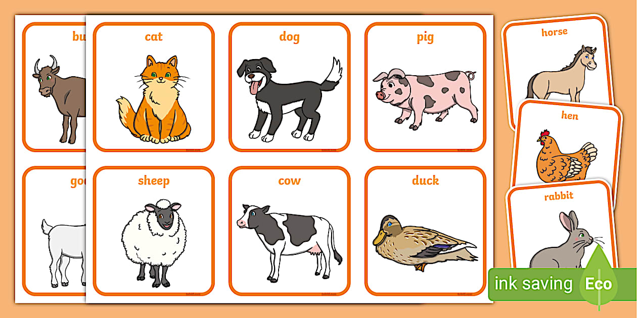 Cute Farm Animal Picture Cards (teacher made) - Twinkl