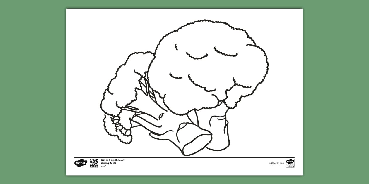 Broccoli Colouring Sheet | Colouring Sheets (teacher made)