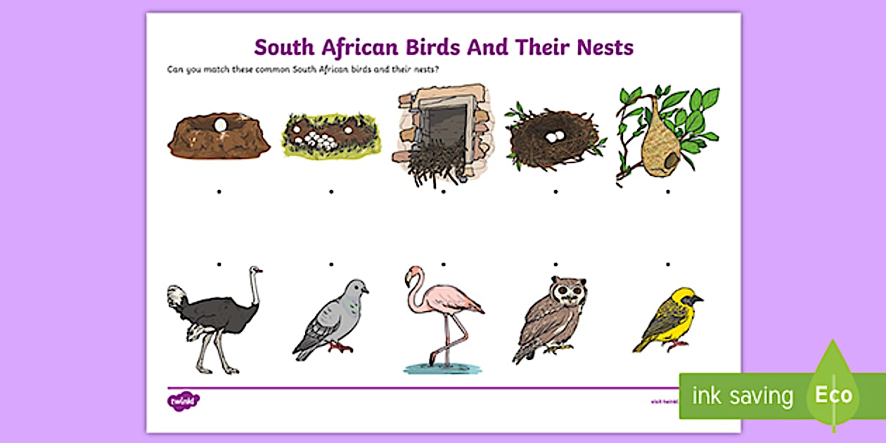 Bird Themed Activities For Preschoolers (teacher made)