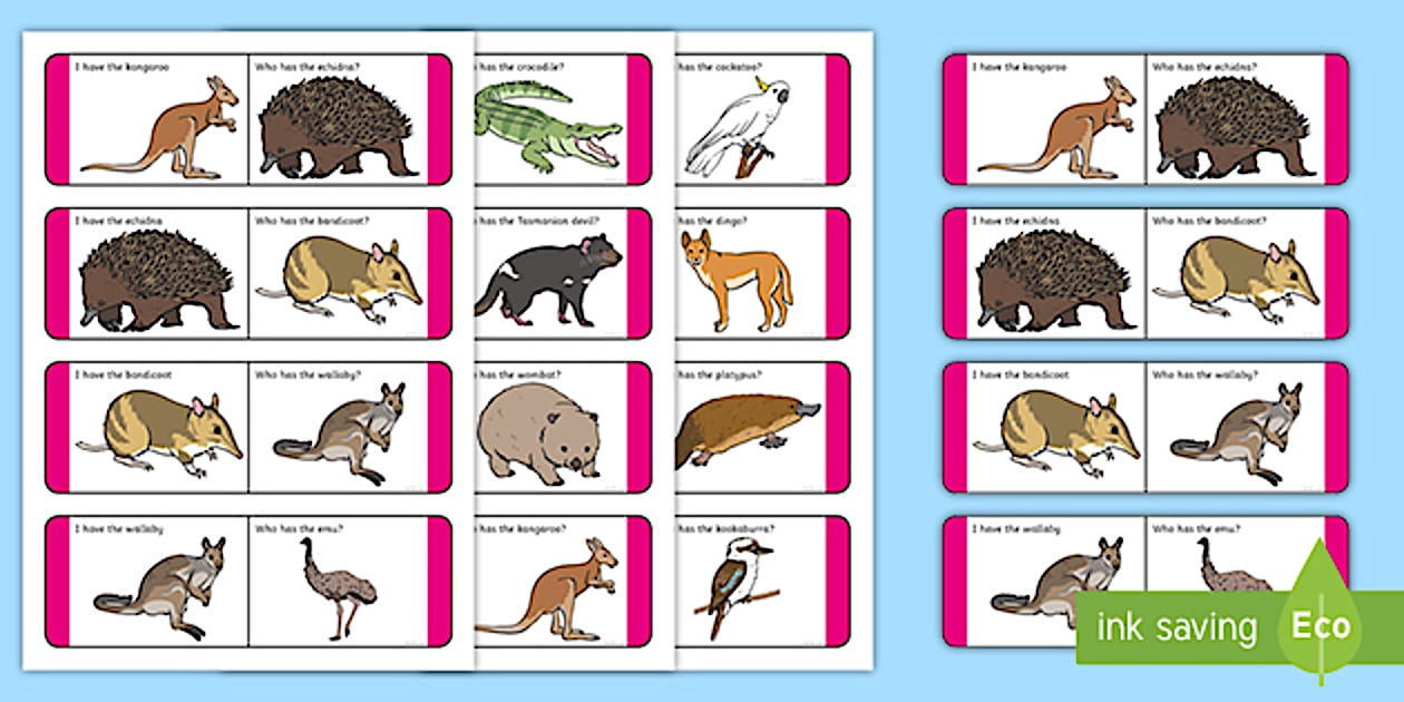 Australian Animals Vocabulary Loop Cards - Twinkl