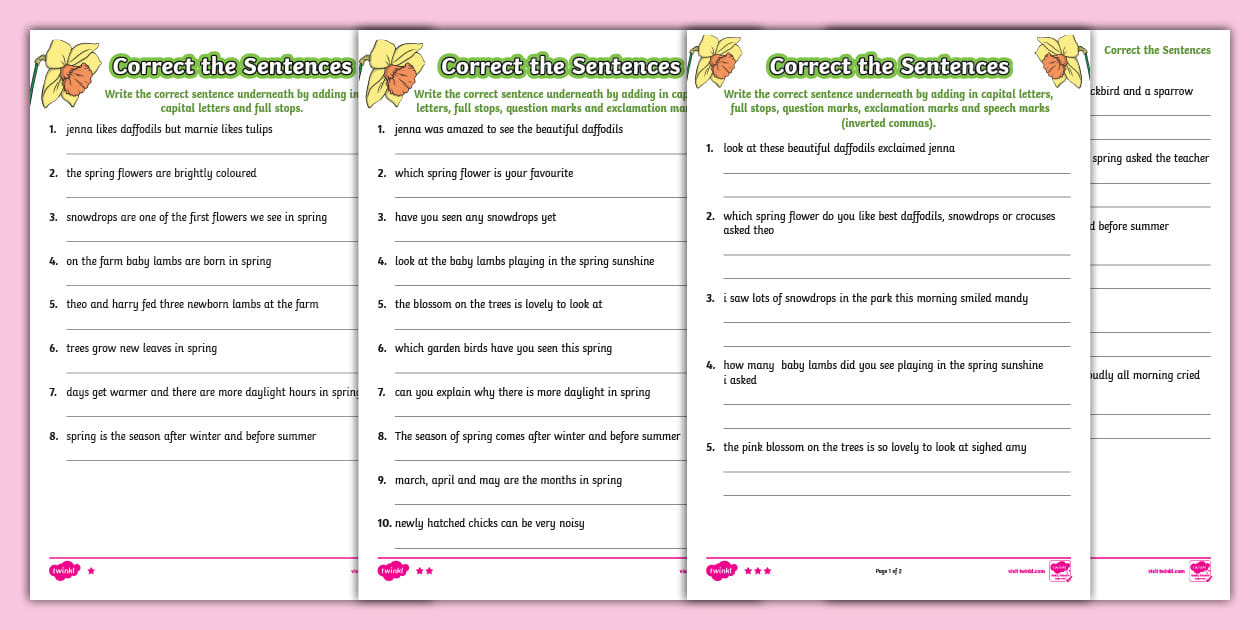 Correct Sentences - Punctuation Activity Sheet - Twinkl