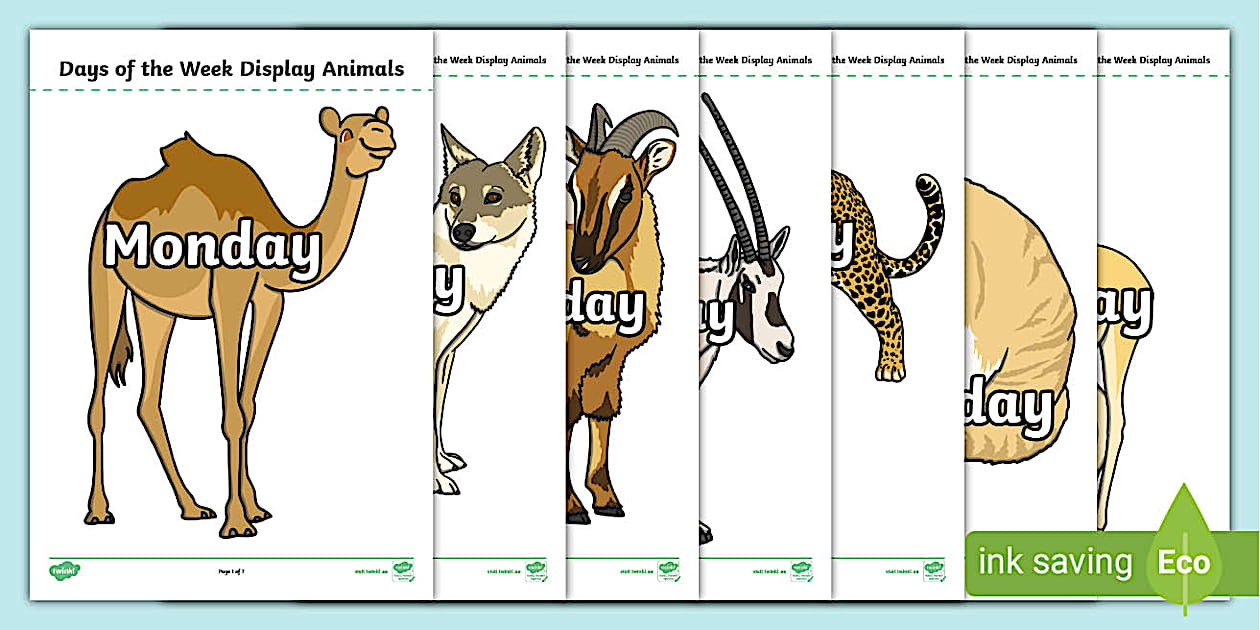 UAE Animals Days of the Week Display (l'enseignant a fait)