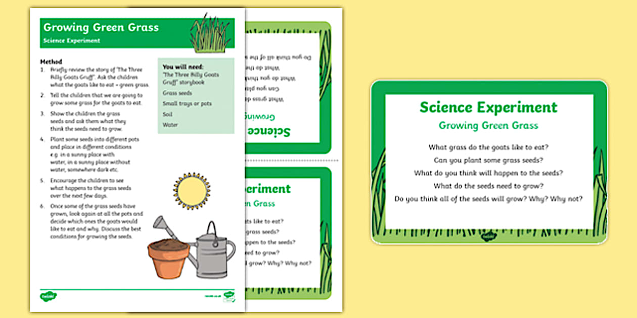 EYFS Growing Green Grass Science Experiment and Prompt Card Pack
