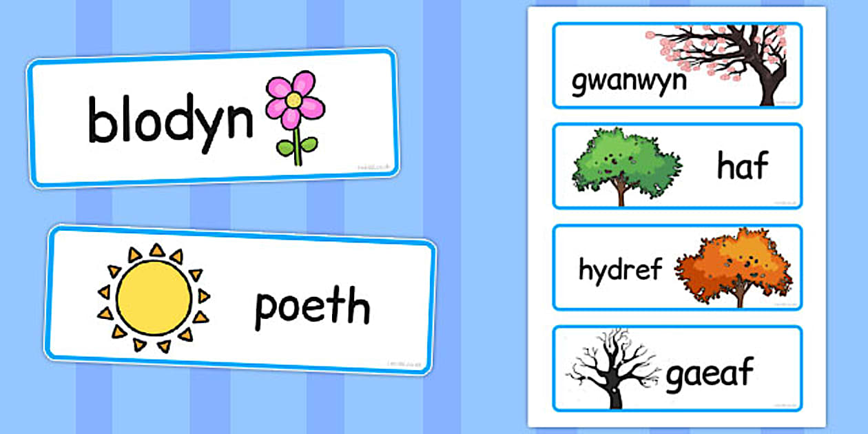 Seasons in Welsh Words - Word Cards | Twinkl Resources