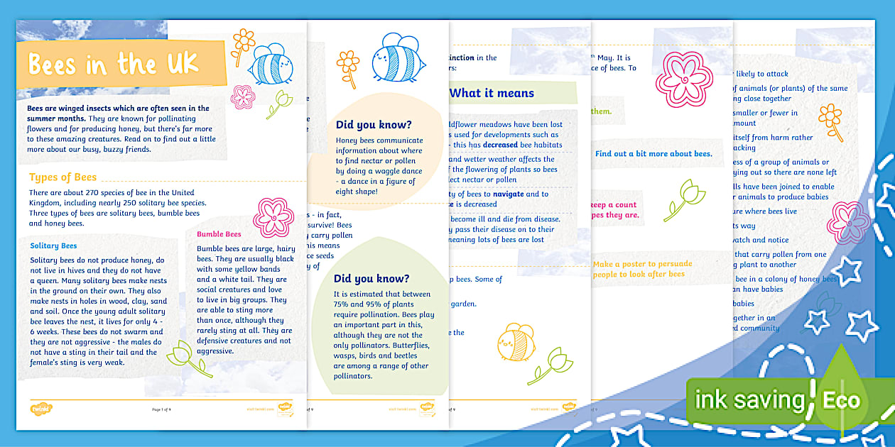 World Bee Day: Bees in the UK Non-Fiction Reading Comprehension (Ages 5 ...