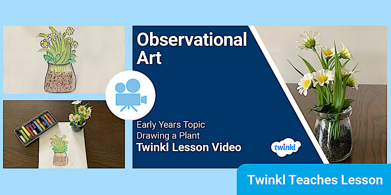 Drawing a Plant | Early Years Art (teacher made) - Twinkl