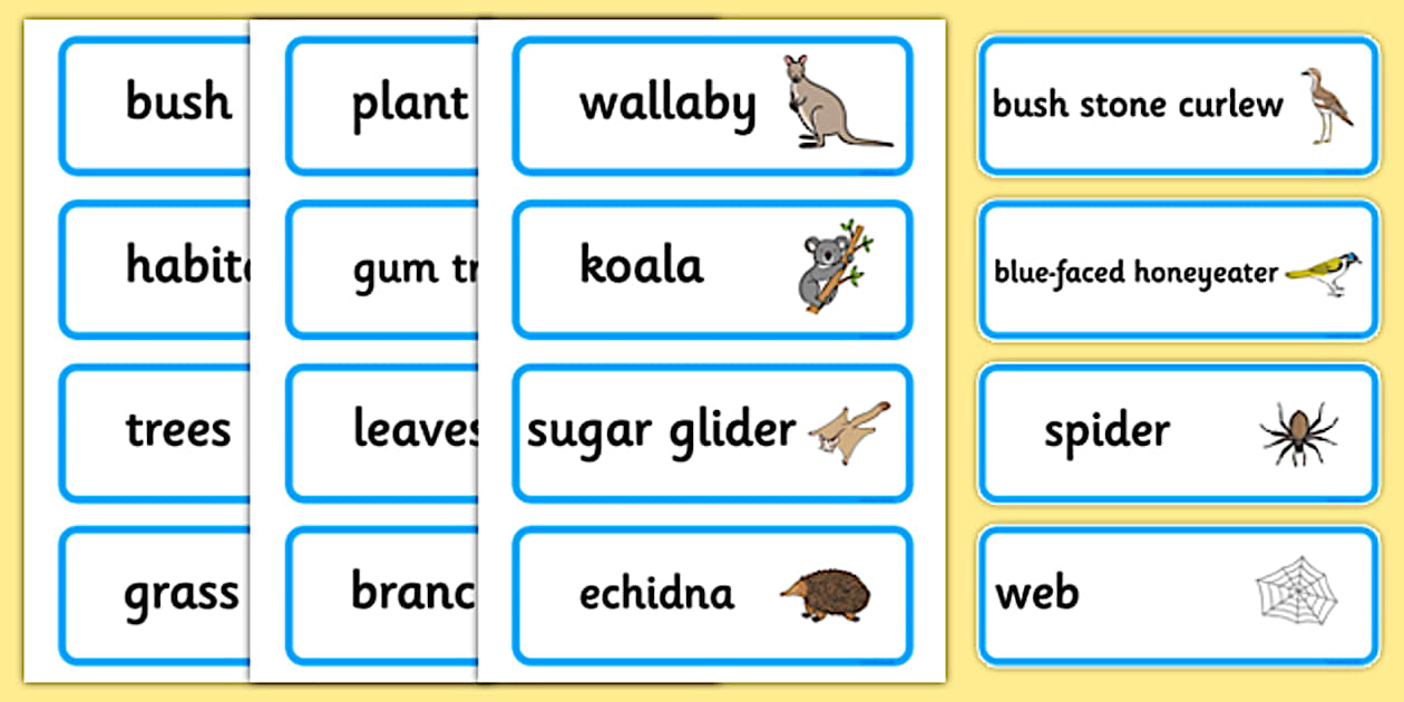Bush Habitat Word Cards (Teacher-Made) - Twinkl