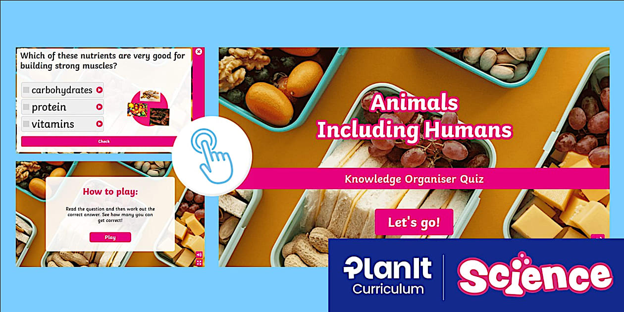 Retrieval Practice: Science: Animals Including Humans: Year 3 Interactive