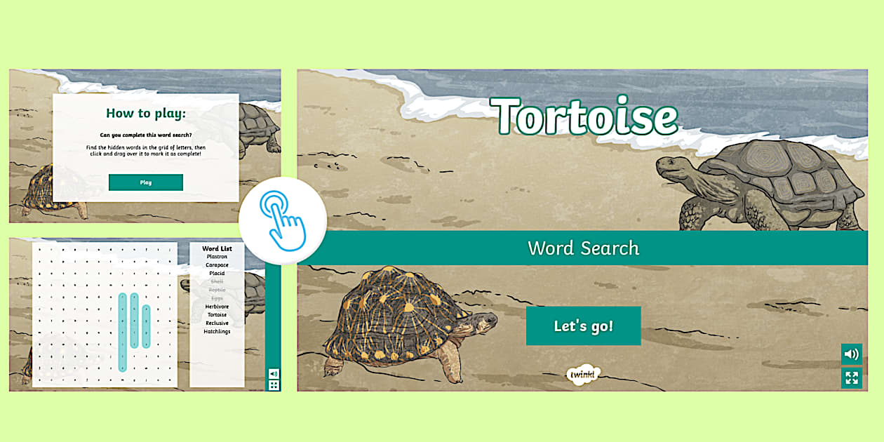 Digital and Interactive Tortoise Word Search | Twinkl | KS1
