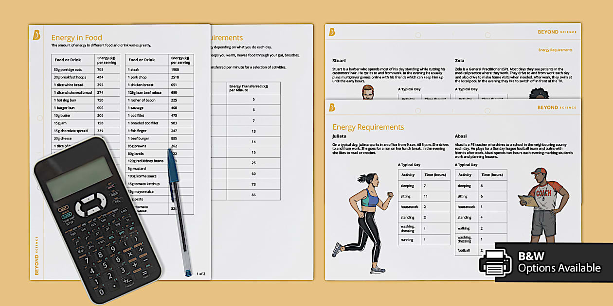 Energy Balance Worksheet | KS3 Physics | Beyond - Twinkl