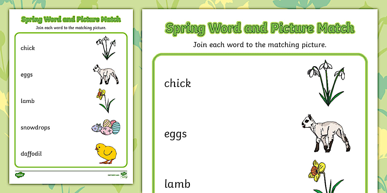 Spring Word and Picture Match Activity - Twinkl - KS1
