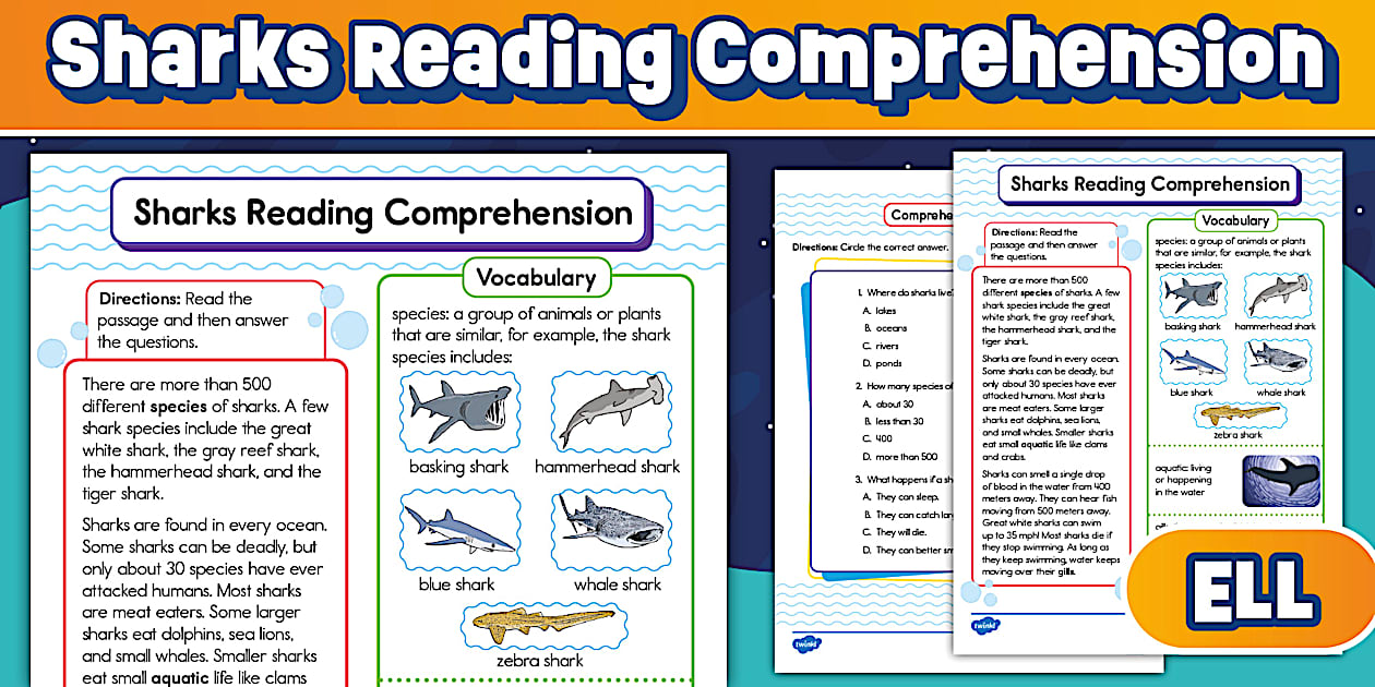 Sharks Reading Passage Comprehension Worksheet for ELL
