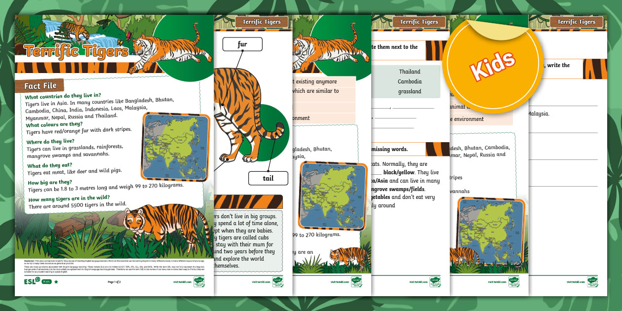 Terrific Tigers Reading Activities (teacher made) - Twinkl