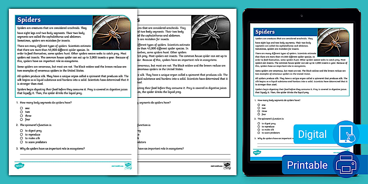 Fourth Grade Spiders Reading Passage Comprehension Worksheet