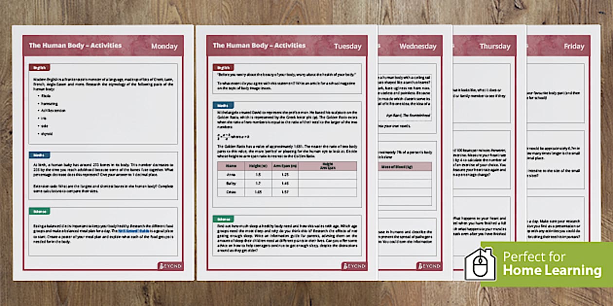 Home Learning Challenge Calendar - The Human Body KS3