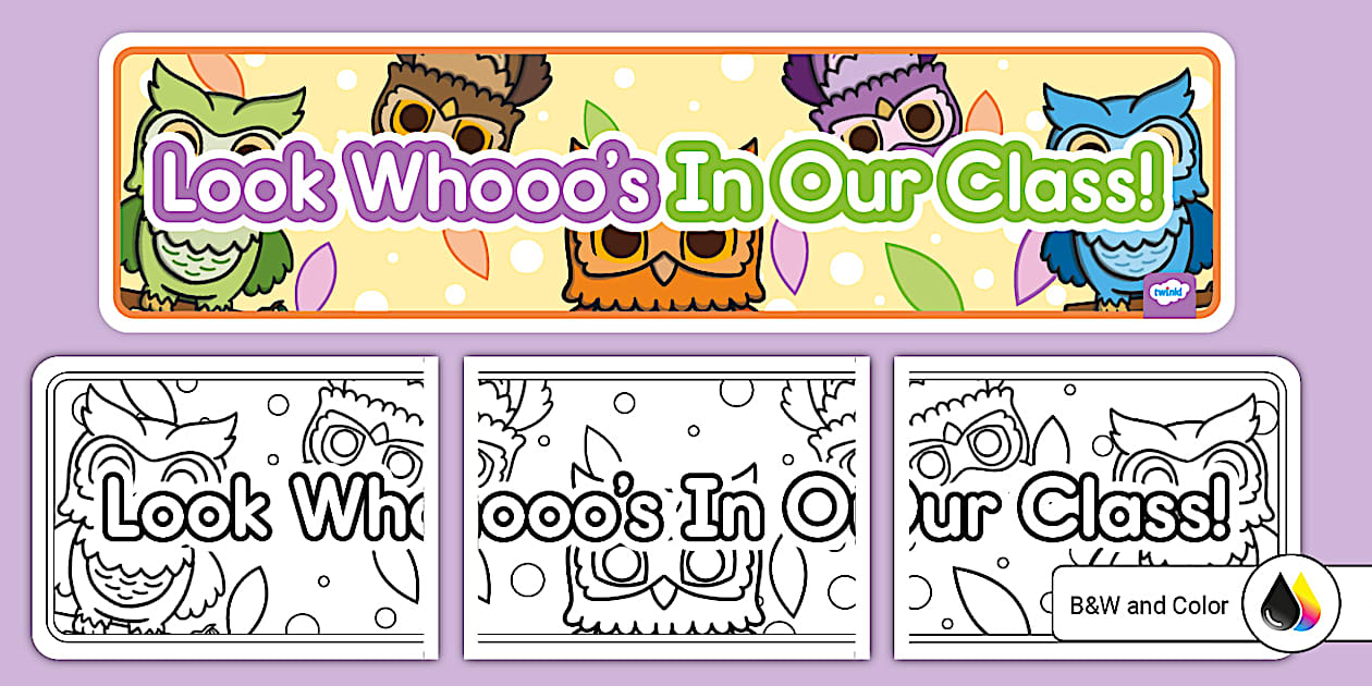 Look Whooo’s In Our Class! Adorable Owl Theme Banner