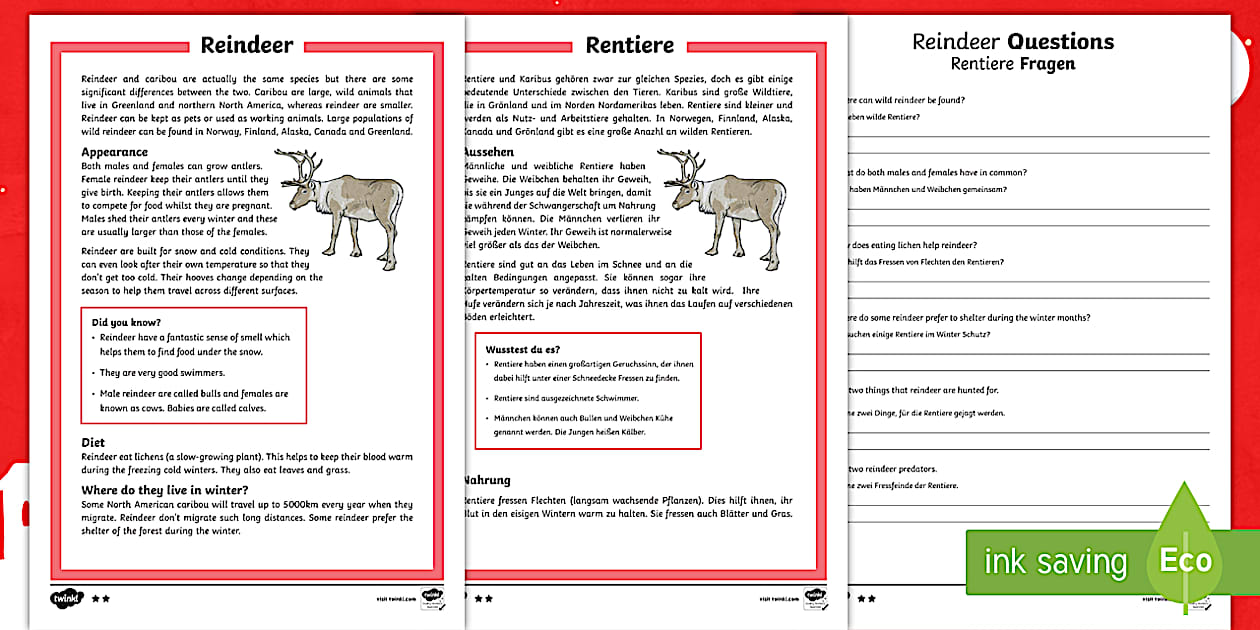 Reindeer Differentiated Reading Comprehension Activity English/German