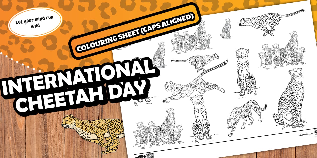 Foundation Phase Life Skills - International Cheetah Day - Colouring Sheet